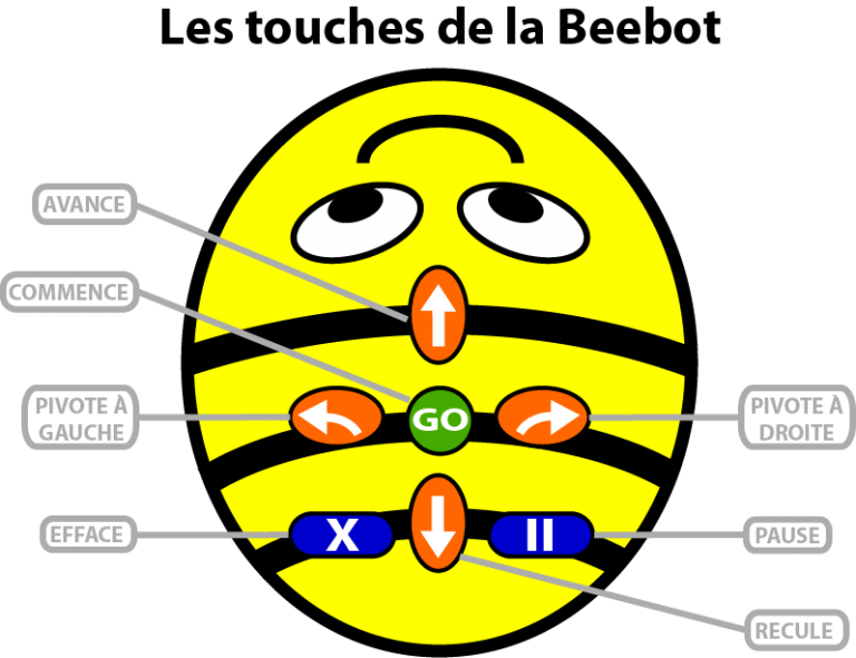 L'initiation à la programmation à l'école - Blog Hop'Toys