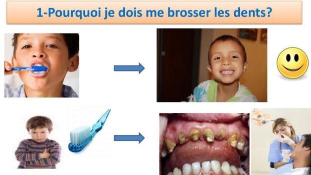 DOSSIER : L'hygiène bucco-dentaire - Blog Hop'Toys
