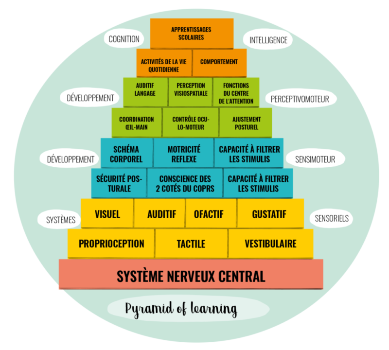 Qu'est-ce que l'intégration sensorielle ? - Blog Hop'Toys