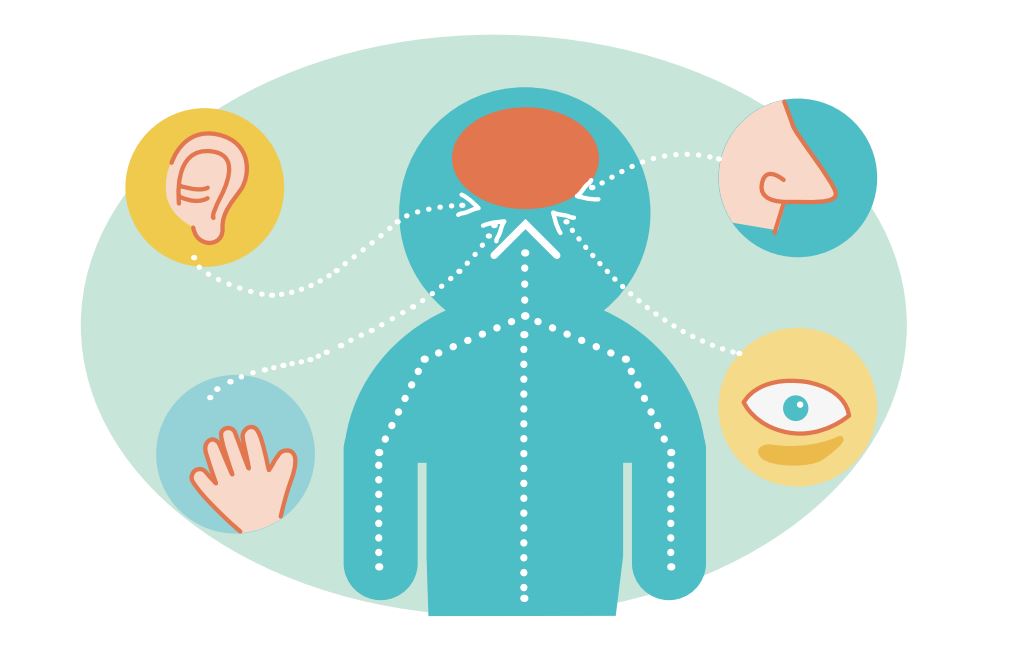 Qu'est-ce que l'intégration neurosensorielle ? - Blog Hop'Toys