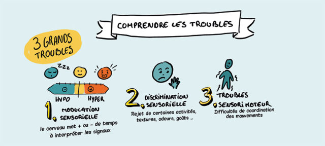 L'intégration sensorielle illustrée - Blog Hop'Toys
