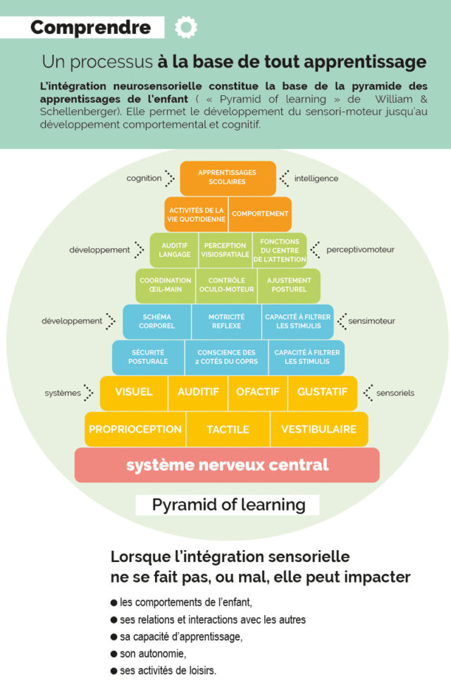 L'intégration sensorielle dans le quotidien - Blog Hop'Toys