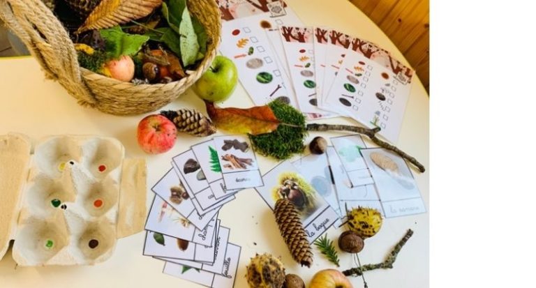 Faire classe dehors pour apprendre autrement - Blog Hop'Toys