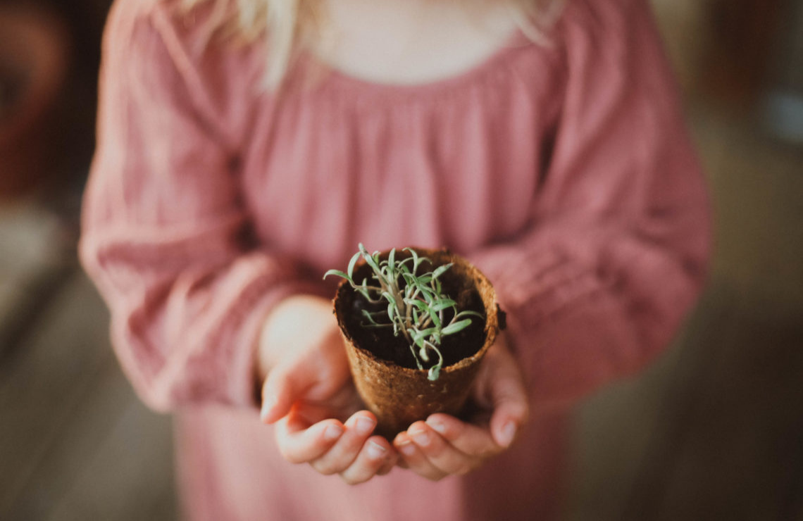 Crèche Wild Child : les apprentissages par la nature - Blog Hop'Toys