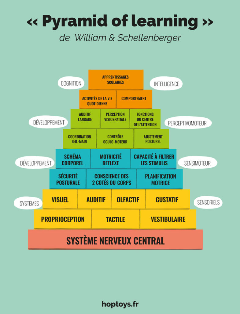 TSA : compréhension neurodéveloppementale - Blog Hop'Toys