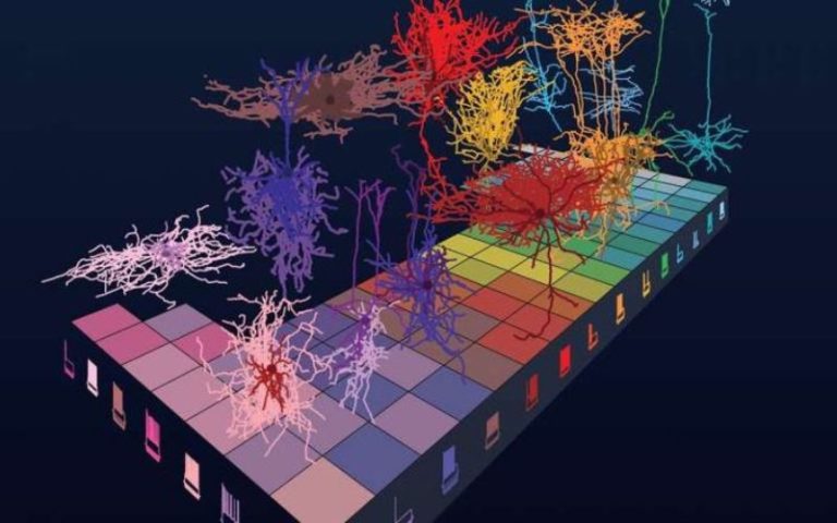 La neuro-architecture, qu'est-ce que c'est ? - Blog Hop'Toys